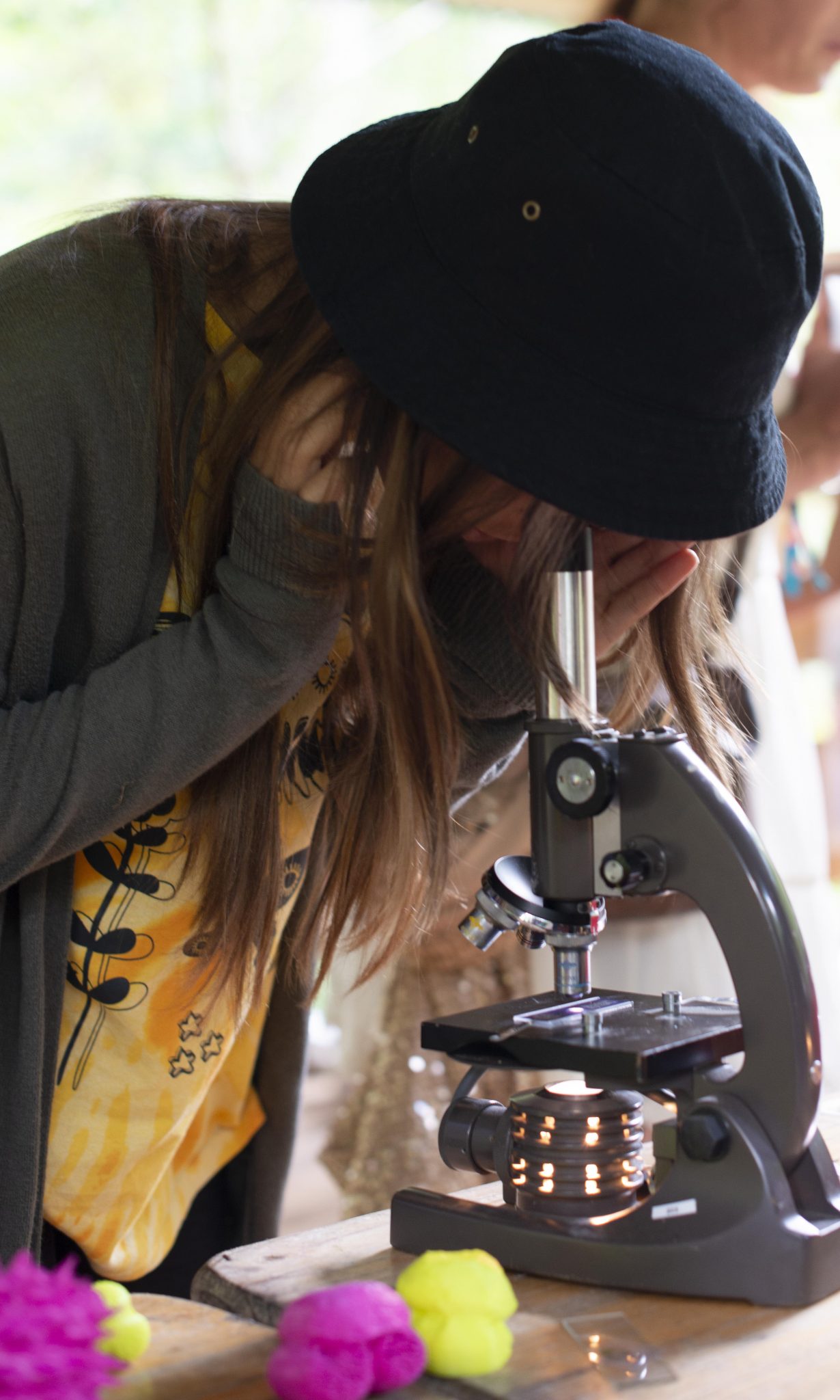 ECO HUB - Between The Trees