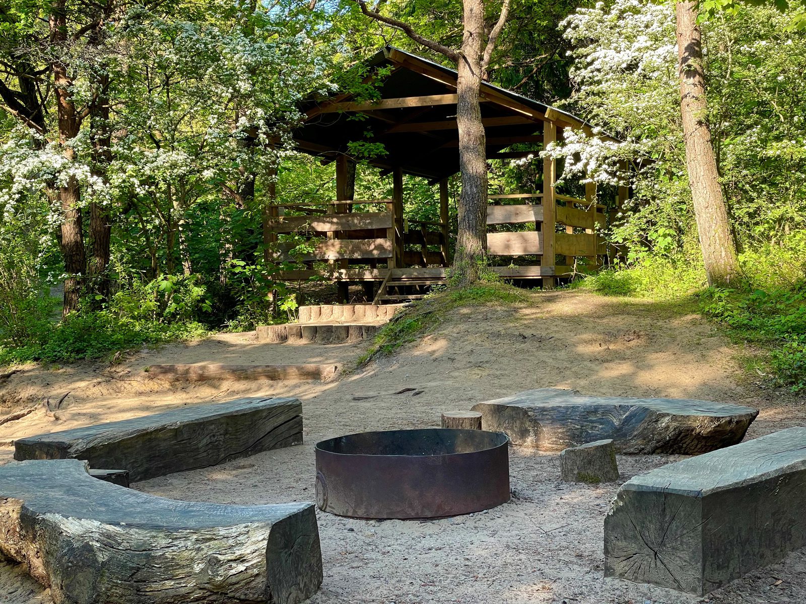 Facilities and Festival Site - Between The Trees